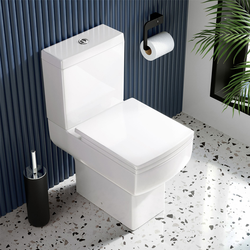 News - How does a direct flush toilet prevent odor? What are the ...