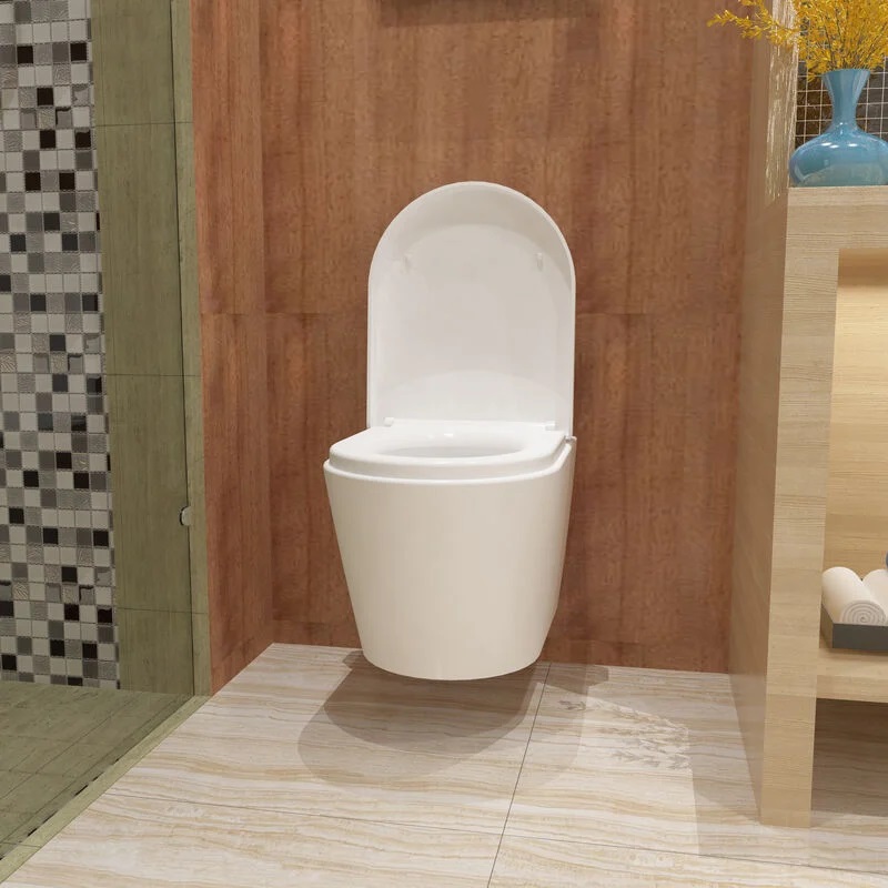 News - Toilet Upgrade: Transformation from Traditional Toilet to Modern ...