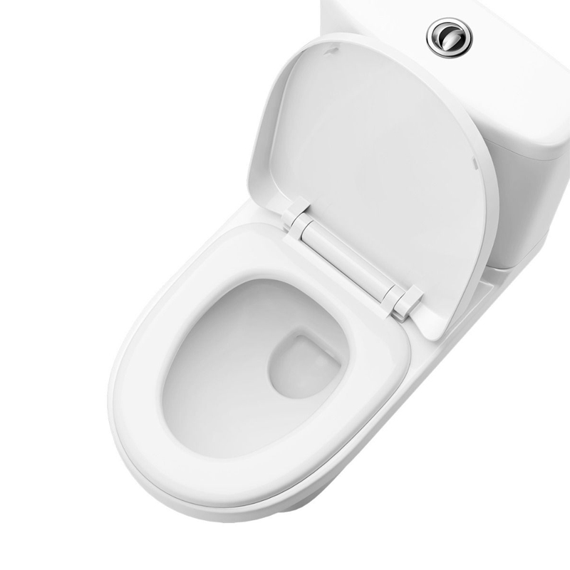 News - Introduction and Types of Toilets